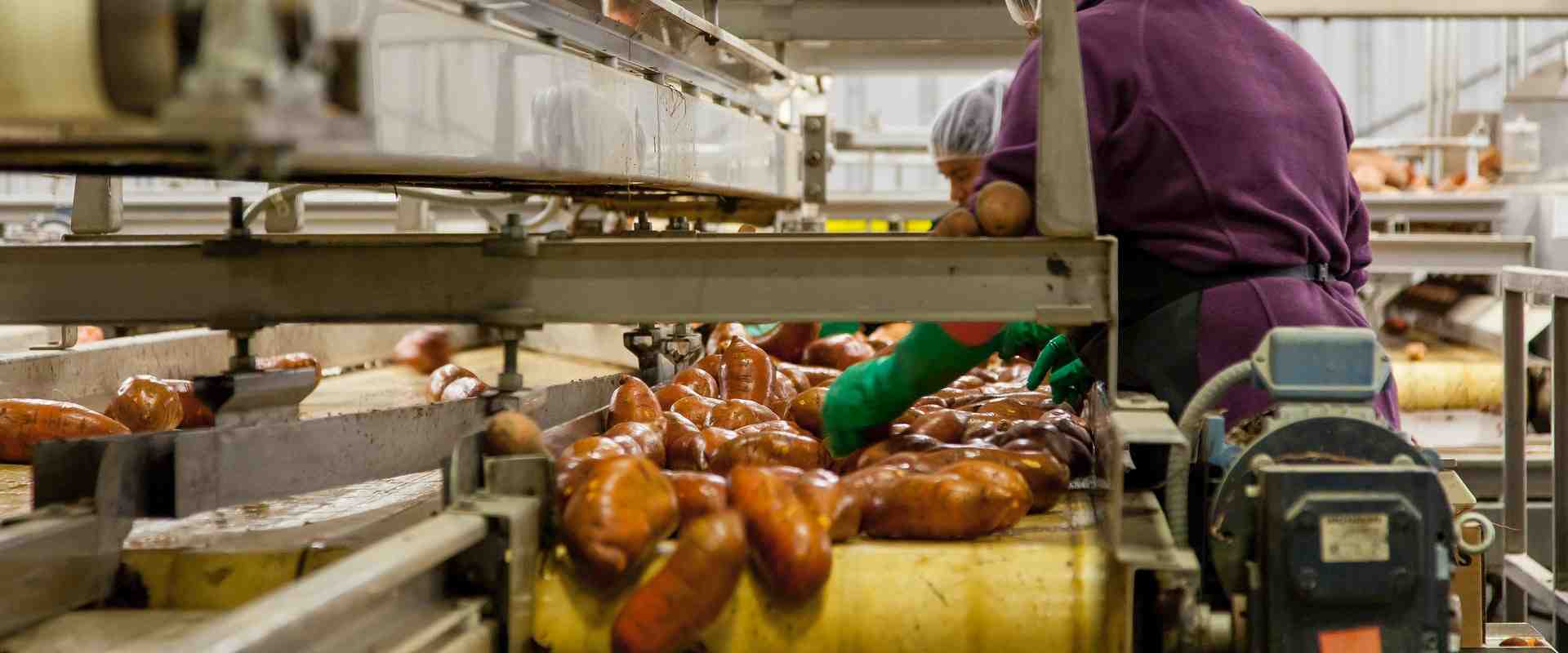 Trends in Food Technology, Food Industry, Food Trends | Quantzig