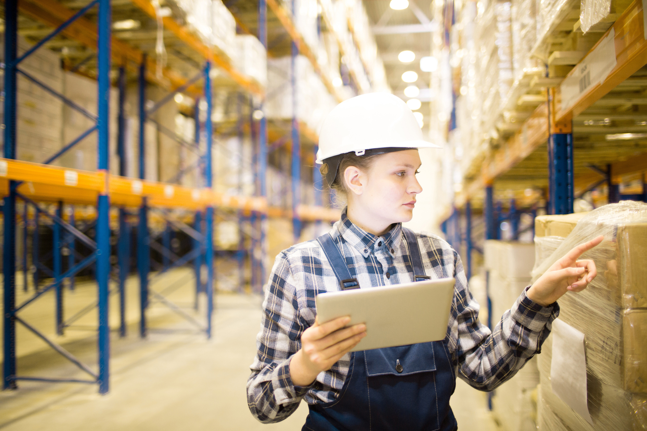 Optimizing Warehouse Management: System Development Solutions